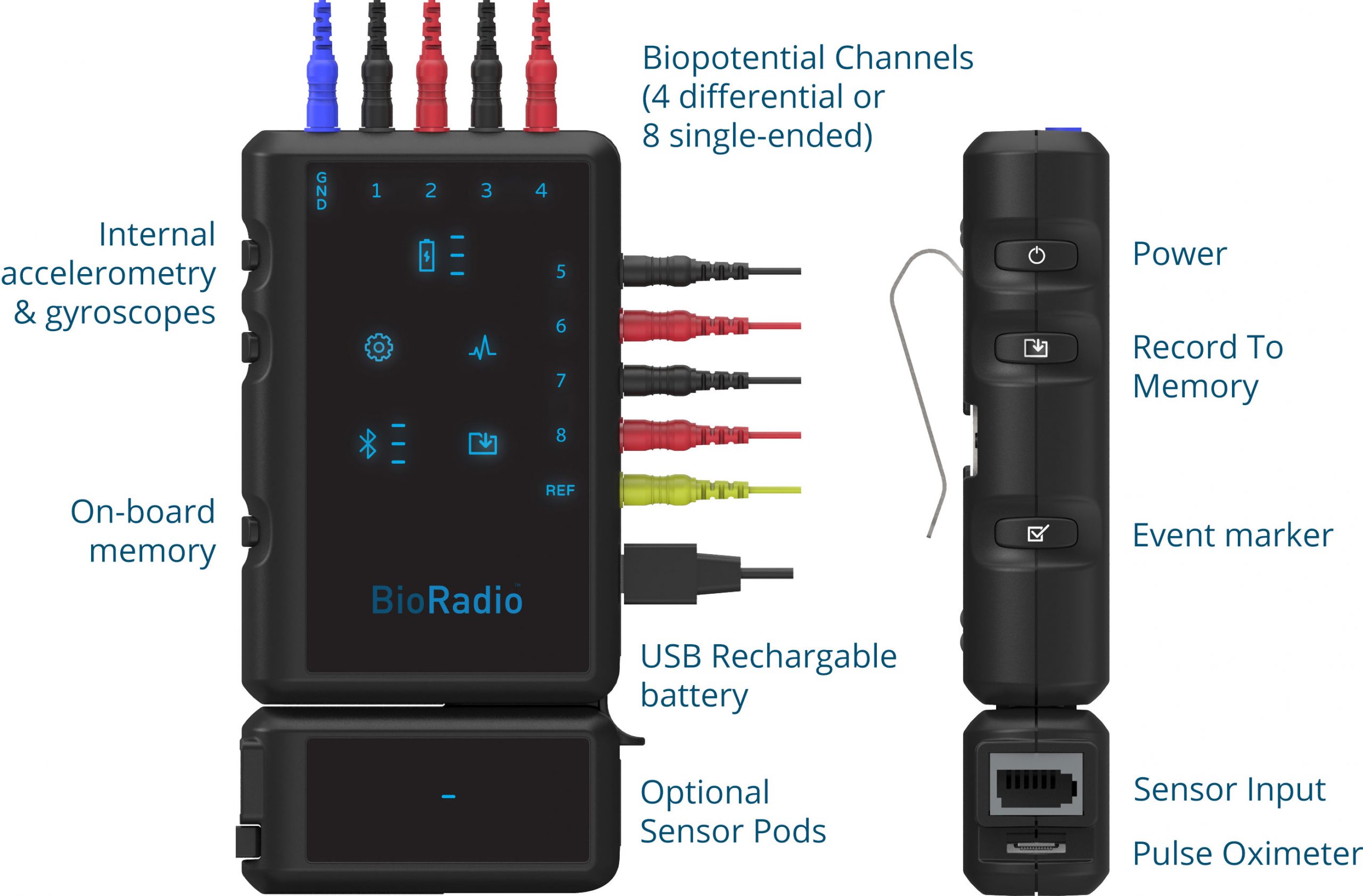 Specifications – Great Lakes NeuroTechnologies